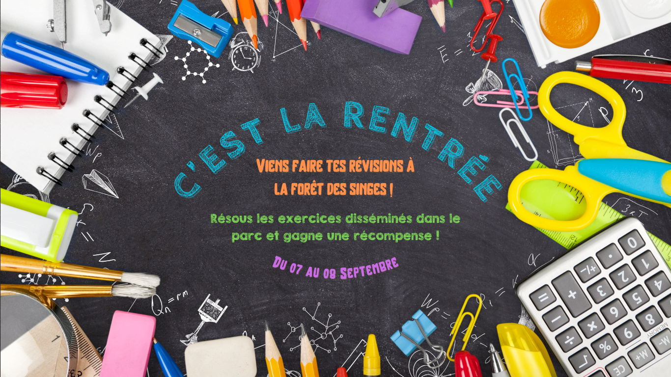 C'est la rentrée ! - La Forêt des Singes